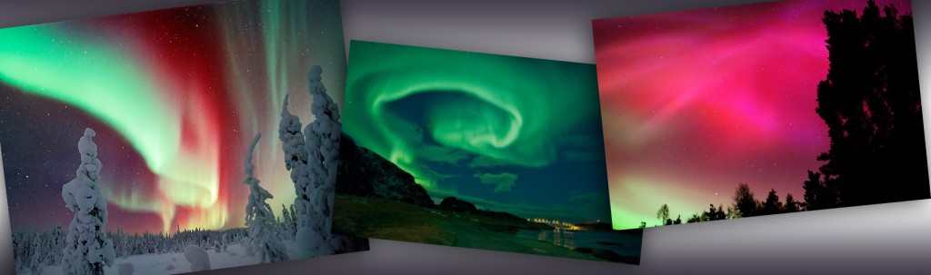 Priča o bojama čudnih naziva: Grimizna, kaki, drap, venge, rezedo...