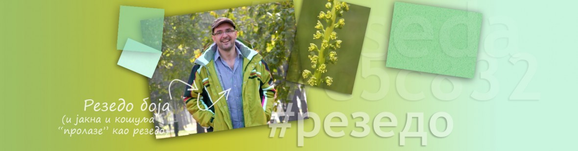 Priča o bojama čudnih naziva: Grimizna, kaki, drap, venge, rezedo...